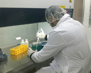 Control Microbiológico Alimentos – OK Alimentos